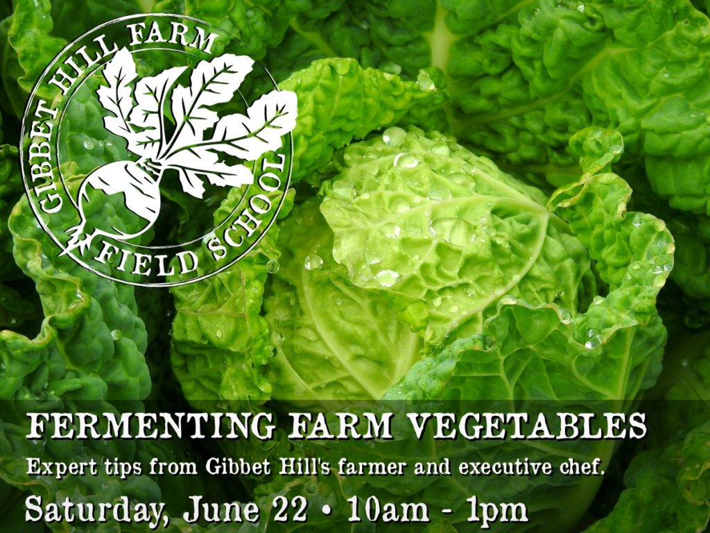 Gibbet Hill Farm Field School - Gibbet Hill Grill